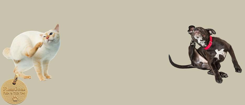 FleasGone Flea & Tick Tag Prevention for Cats and Dogs. Guaranteed to ...